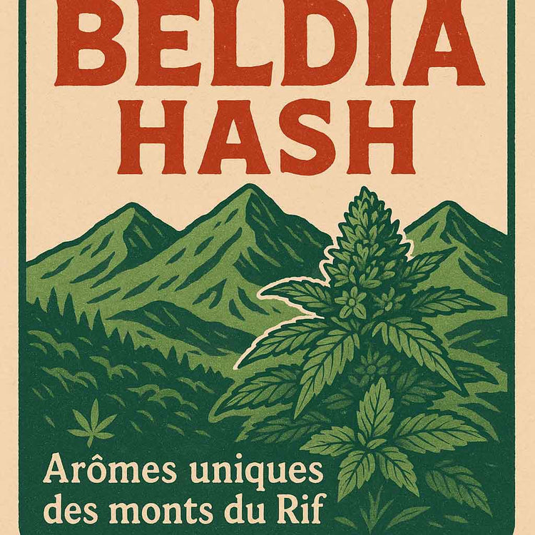 Beldia Hash : arômes uniques des monts du Rif 🌿 – Green Kartel